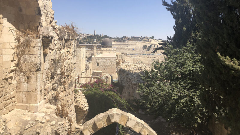 The LJD Jewish Family & Community Services